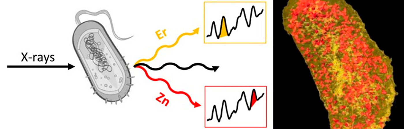 The Advanced Photon Source (APS)